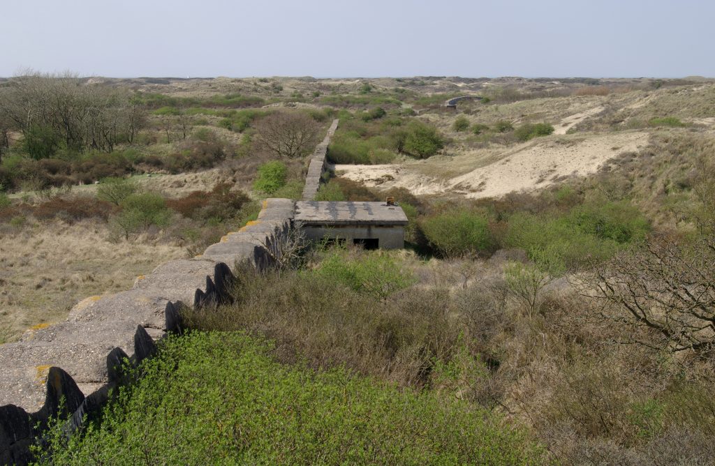 Bunker Archaeology: Inside the WW2 German “Atlantikwall” fortifications ...