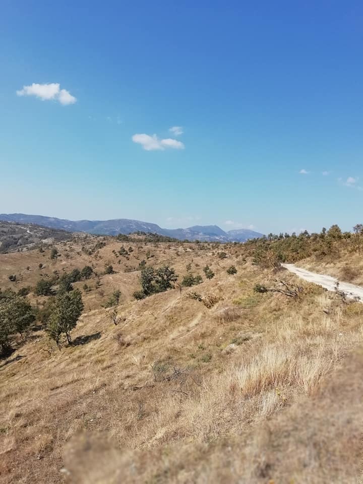 Battlefield Archaeology: The killing fields of Hill 731, where the ...