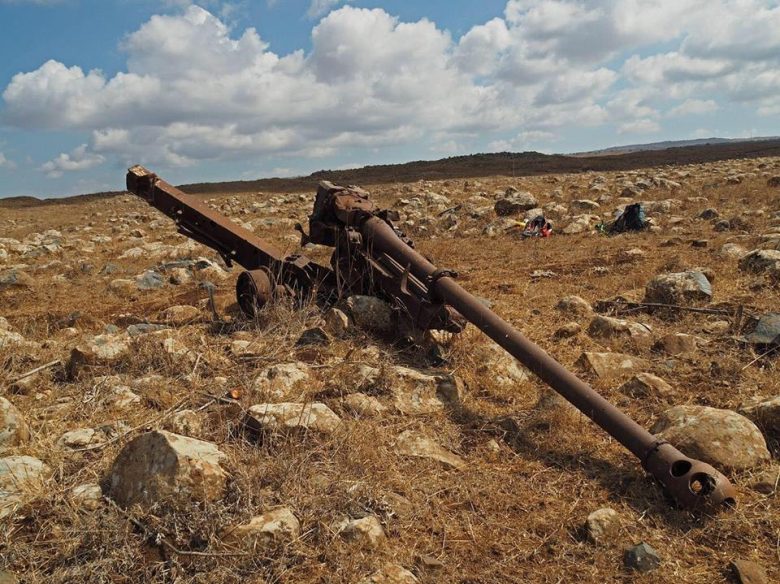 Battlefield Archaeology: The armoured beasts of WW2 in the largest open ...