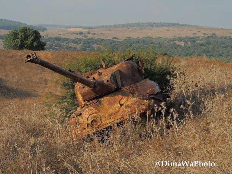 Battlefield Archaeology: The armoured beasts of WW2 in the largest open ...