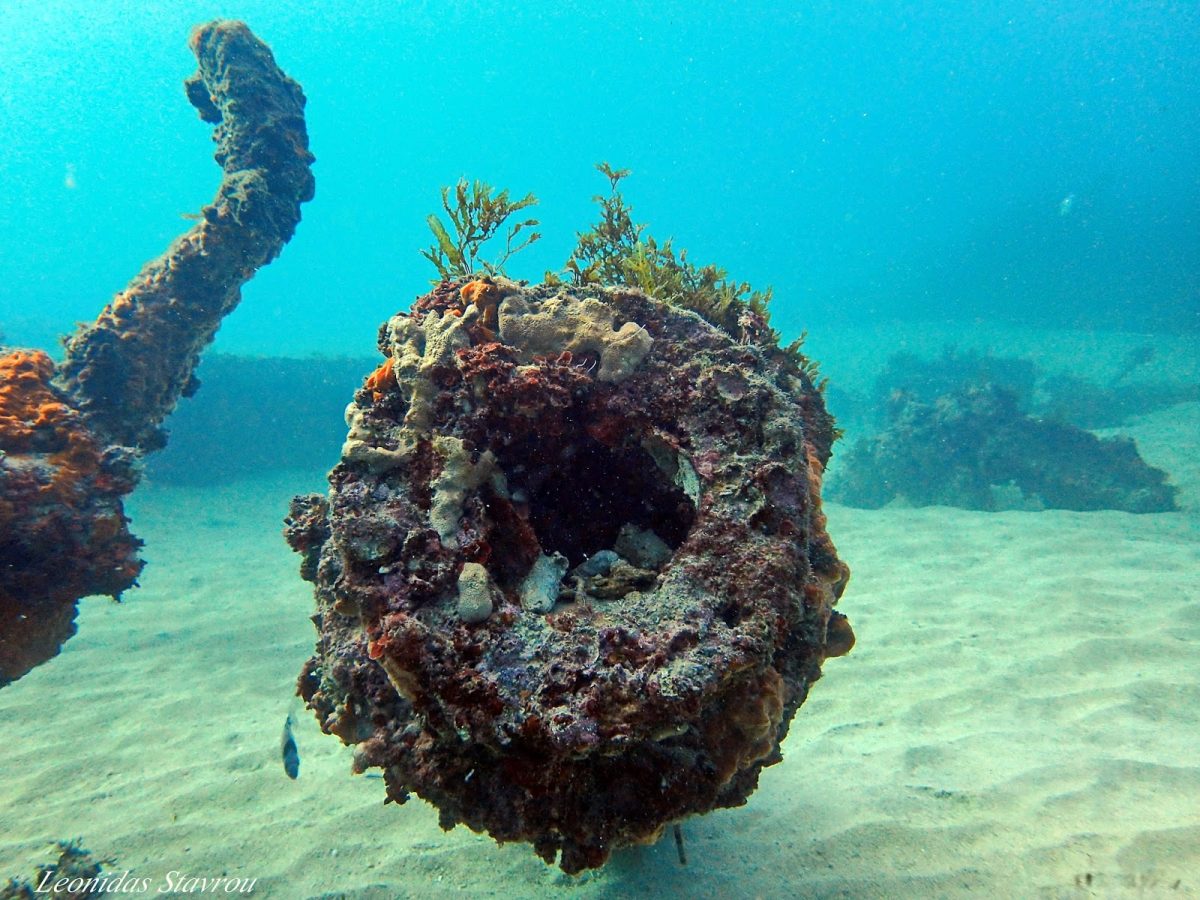 HMS Maori: Scuba diving at a WW2 wreck, through the lens of Leonidas ...