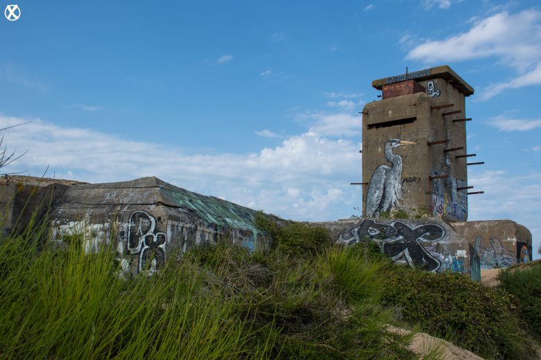 Battlefield Archaeology: The massive 340 mm naval guns protecting ...