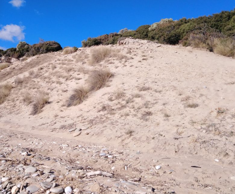 Bunker Archaeology: The Kariani bunkers and MG posts in Macedonia ...