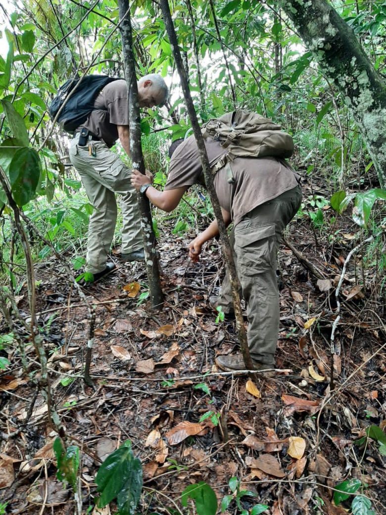 Finding a Japanese Type 96 25 mm anti aircraft cannon in the jungle of ...