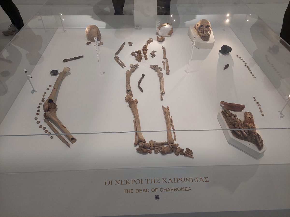 The Battle of Chaeronea, 2 August 338 BC: A day that changed the world ...