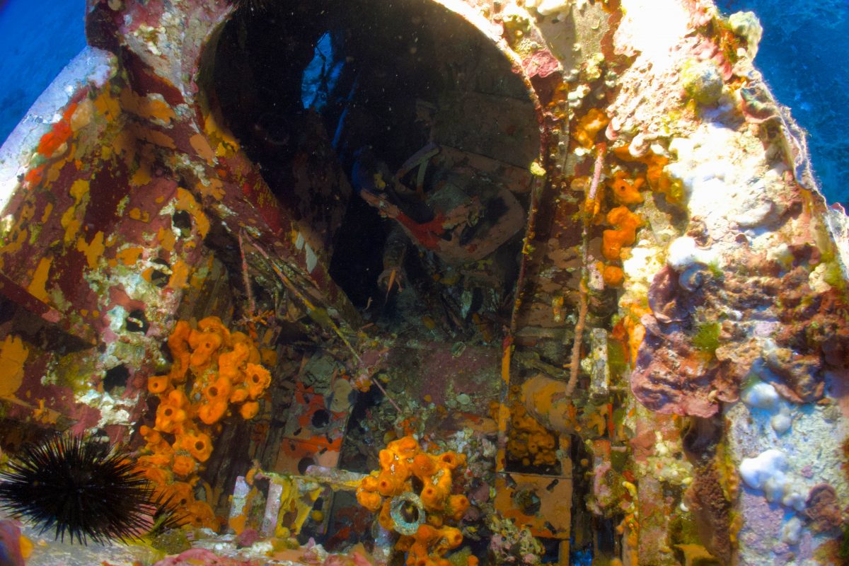 The Antikythera Martin Baltimore and the dramatic story of an air ...