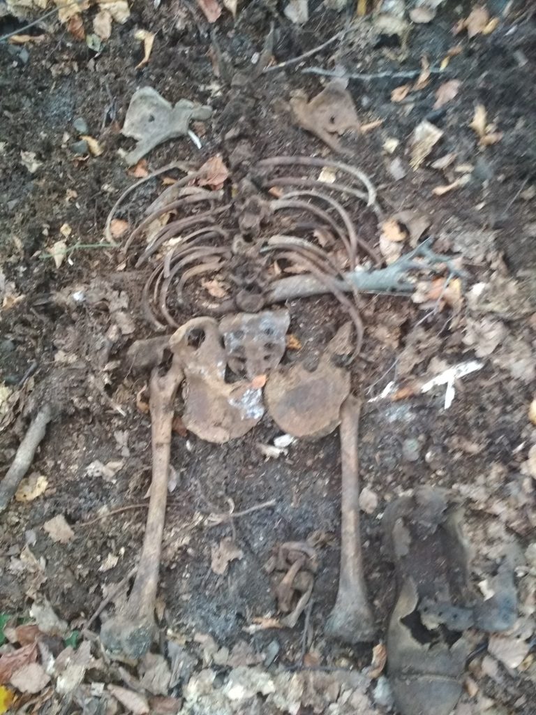 The ghosts of the Greek Civil War: The remains of a fallen soldier ...